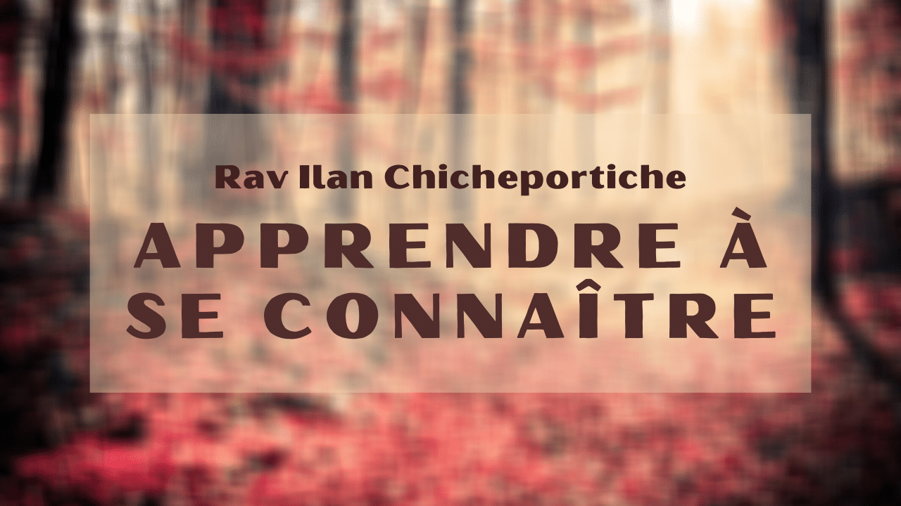 Apprendre à se connaître - Joie 2 Vivre