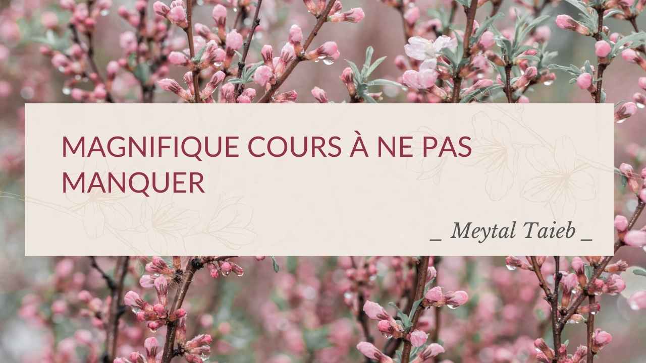 Magnifique cours à ne pas manquer - Joie 2 Vivre